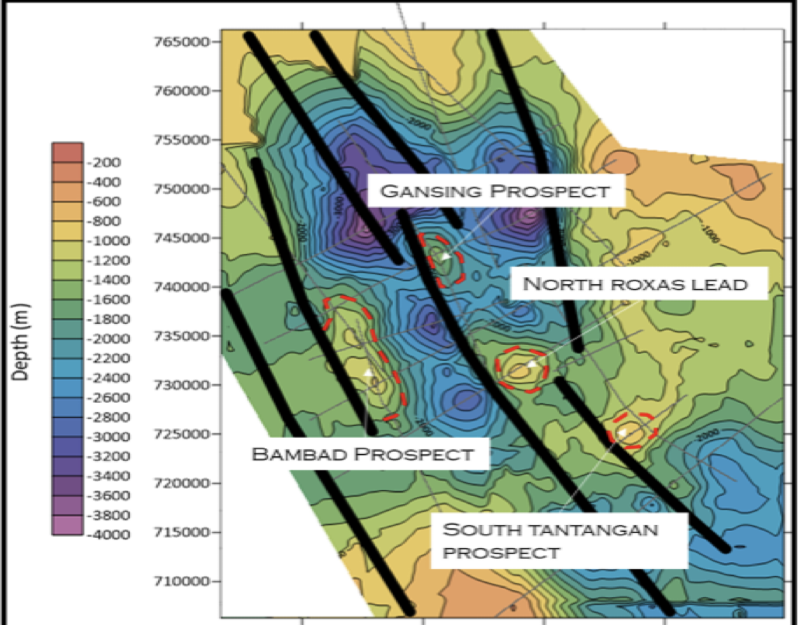 Area 9 Of The Cotabato Basin: A Project Profile of SK Liguasan Oil and ...